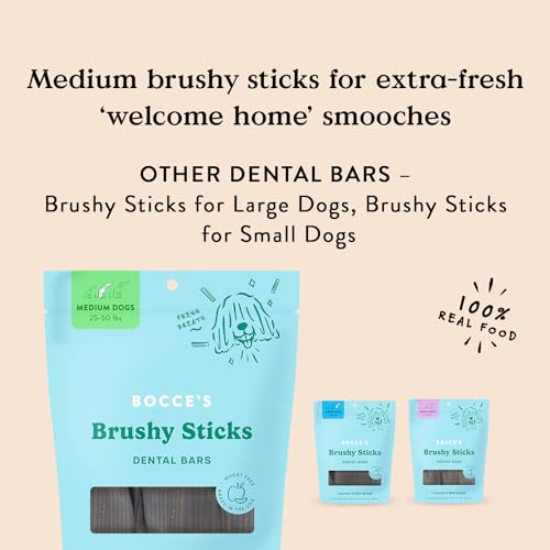 Bocce's Bakery Dailies Brushy Sticks to Support Oral Health & Fresh Breath, Wheat-Free Dental Bars for Dogs, Made with Real Ingredients, Baked in The USA, All-Natural Coconut & Mint, Medium Dogs