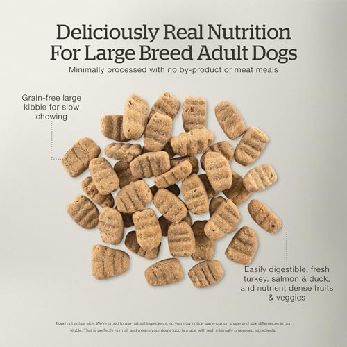 Now Fresh Grain-Free, Dry Dog Food, Real Meat and Fish, Turkey, Salmon and Duck Large Breed Adult Recipe, 25 lb Bag