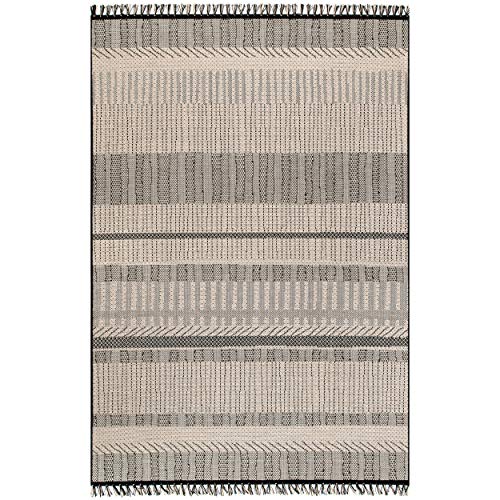 nuLOOM Indoor/Outdoor Modern Moroccan Megan Area Rug, 4' x 6', Grey