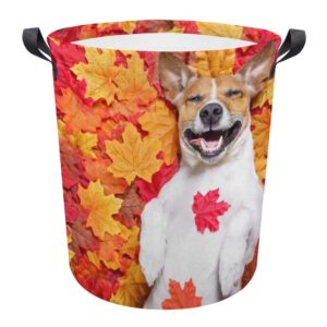 large laundry basket jack russell terrier autumn leaves oxford cloth laundry hamper storage with handles collapsible waterproof toy organizer dirty clothes bag for bedroom bathroom