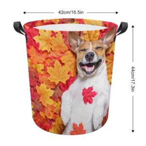 Large Laundry Basket Jack Russell Terrier Autumn Leaves Oxford Cloth Laundry Hamper Storage with Handles Collapsible Waterproof Toy Organizer Dirty Clothes Bag for Bedroom Bathroom