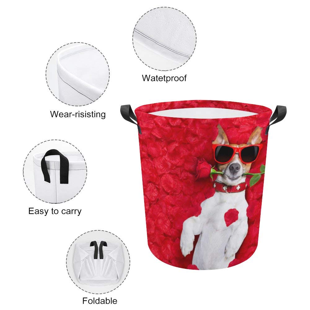 Large Laundry Basket Jack Russell Dog Red Petals Love Valentine's Day Oxford Cloth Laundry Hamper Storage with Handles Collapsible Waterproof Toy Organizer Dirty Clothes Bag for Bedroom Bathroom