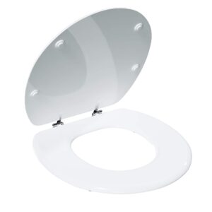 ANZZI XL Comfort Round Oversized Toilet Seat with Cover, Durable High Grade Plastic and Stainless Steel Hinges 800 Pound Capacity Closed Toilet Seat in White (T1-AZ301WH)