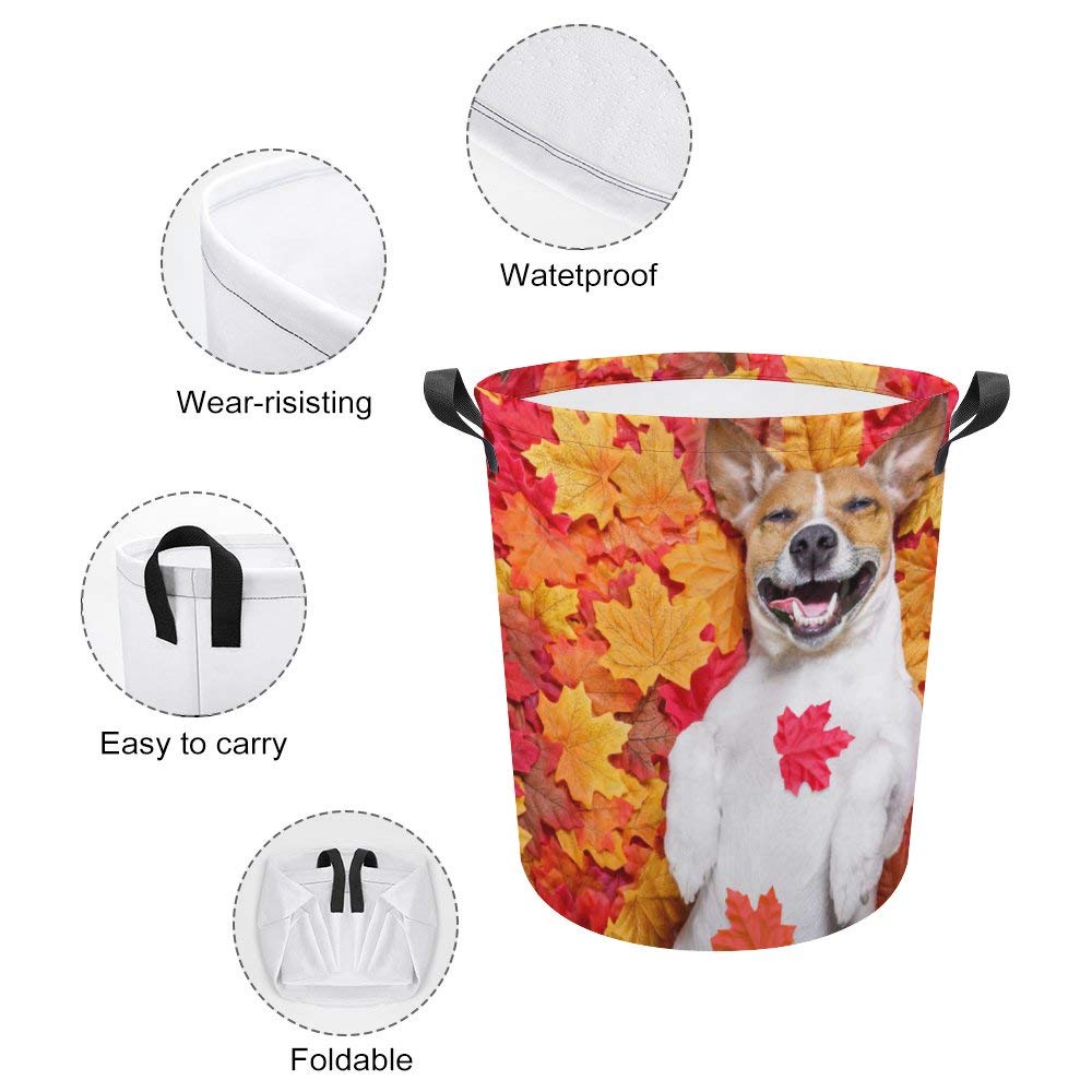 Large Laundry Basket Jack Russell Terrier Autumn Leaves Oxford Cloth Laundry Hamper Storage with Handles Collapsible Waterproof Toy Organizer Dirty Clothes Bag for Bedroom Bathroom