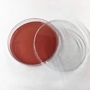 MacConkey Agar (MAC), (10-Pack), Pre-Poured, 15x100mm Petri Plates. Industry Use: Food Safety. for Dectection of E. Coli, Shigella, Salmonella.