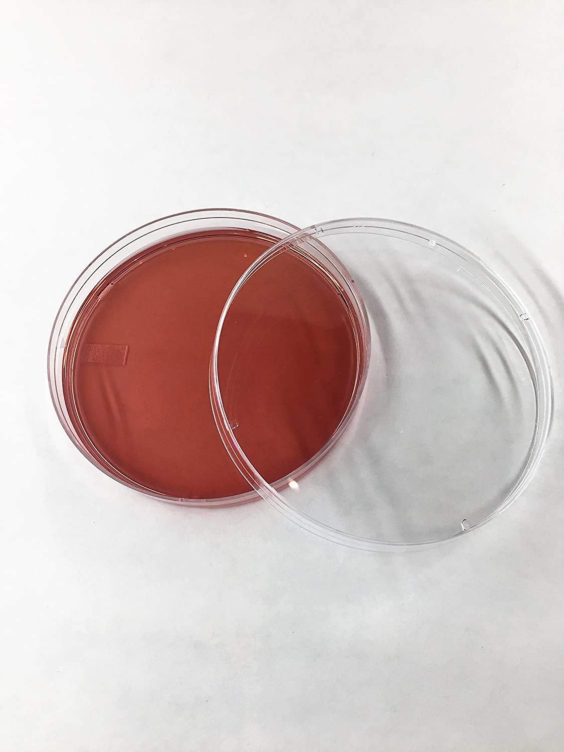 MacConkey Agar (MAC), (10-Pack), Pre-Poured, 15x100mm Petri Plates. Industry Use: Food Safety. for Dectection of E. Coli, Shigella, Salmonella.