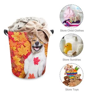 Large Laundry Basket Jack Russell Terrier Autumn Leaves Oxford Cloth Laundry Hamper Storage with Handles Collapsible Waterproof Toy Organizer Dirty Clothes Bag for Bedroom Bathroom