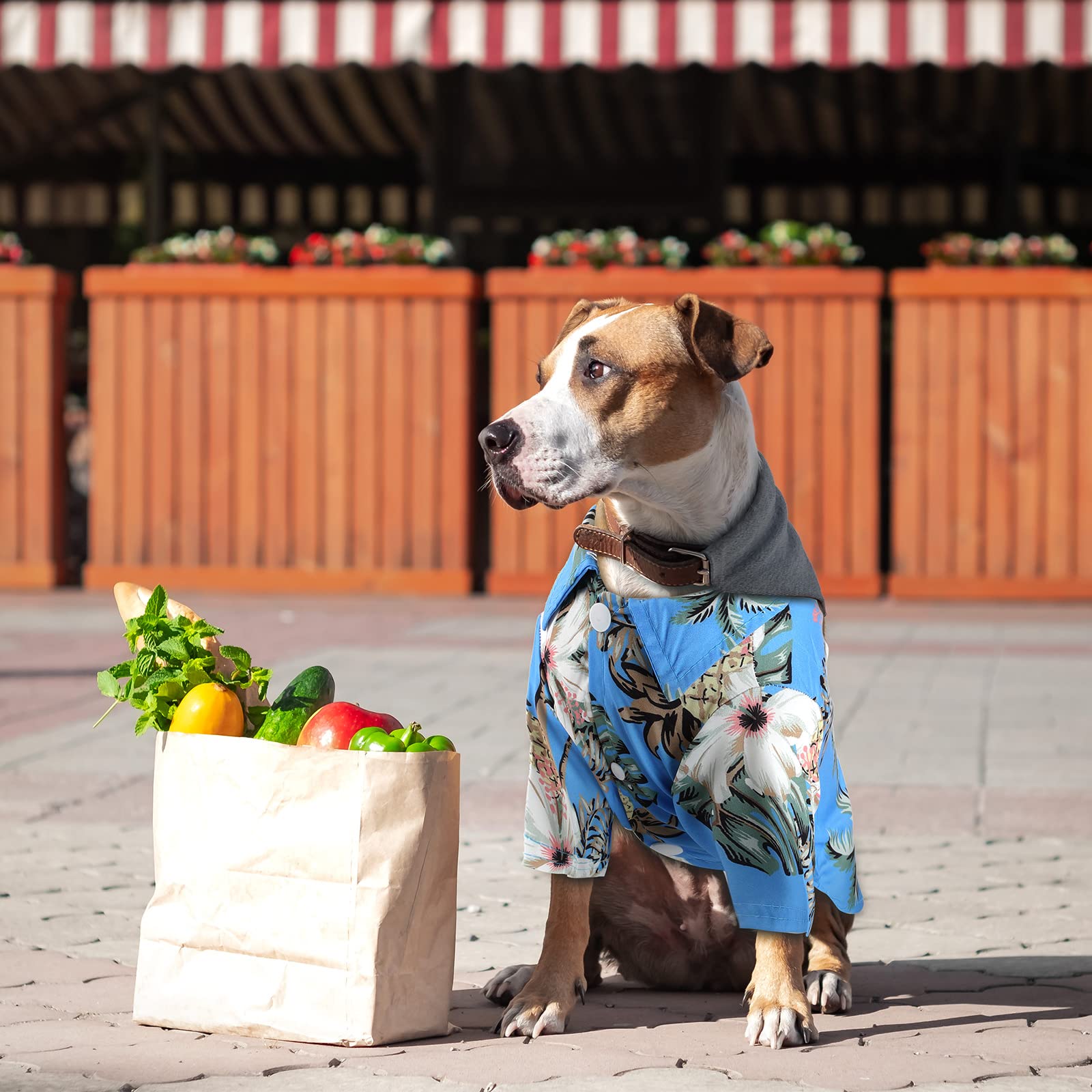 4 Pieces Summer Pet Shirts Hawaii Style Floral Dog T-Shirt Hawaiian Puppy T-Shirts Breathable Pet Cool Clothes Beach Seaside Dog Shirt Sweatshirt for Dogs Pet Puppy (Small)