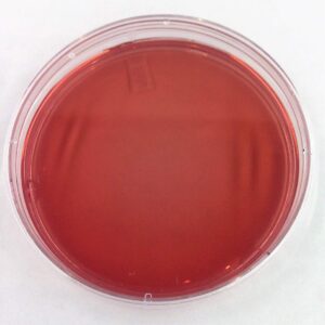 MacConkey Agar (MAC), (10-Pack), Pre-Poured, 15x100mm Petri Plates. Industry Use: Food Safety. for Dectection of E. Coli, Shigella, Salmonella.