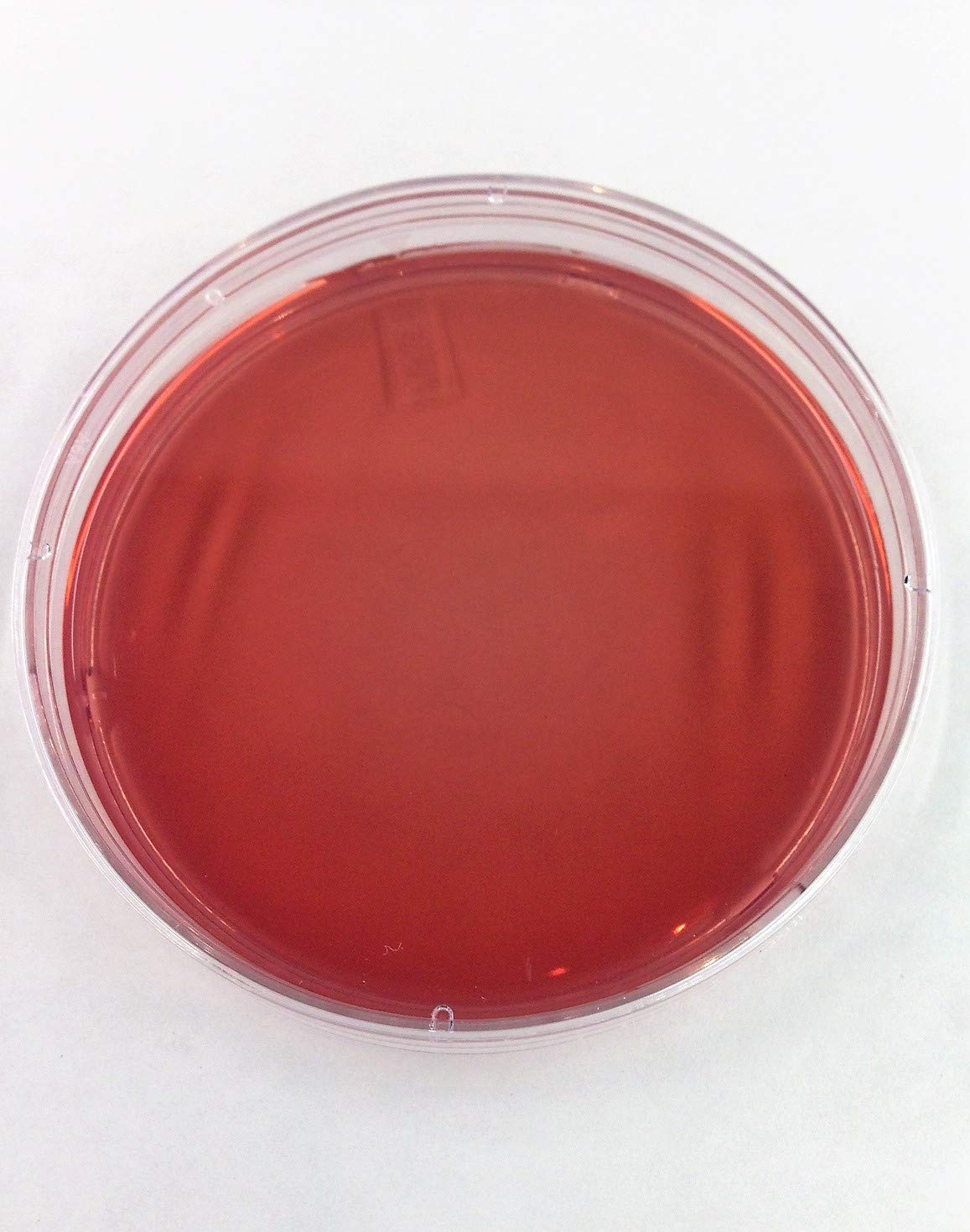 MacConkey Agar (MAC), (10-Pack), Pre-Poured, 15x100mm Petri Plates. Industry Use: Food Safety. for Dectection of E. Coli, Shigella, Salmonella.