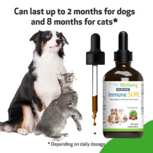 Pet Wellbeing Immune Sure for Dogs & Cats - Vet-Formulated - Immune System Support & Protections - Natural Herbal Supplement 4 oz (118 ml)