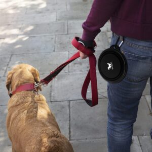 Collapsible Dog Bowls for Travel, 2-Pack Dog Portable Water Bowl for Dogs Cats Pet Foldable Feeding Watering Dish for Traveling Camping Walking with 2 Carabiners, BPA Free