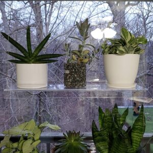 SUPREMETECH Hanging Acrylic Shelves for Windows (16" Wide, 1 Shelf - 26" Tall)