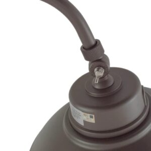 GREENLIGHTDEPOT LED Gooseneck Barn Light - 35W - Swivel Head