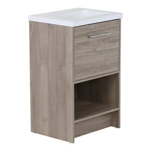 Spring Mill Cabinets Adrian Bathroom Vanity with 1-Door Cabinet, Open Shelf, and White Sink Top, 20.5" W x 16.75" D x 33.5" H, Forest Elm