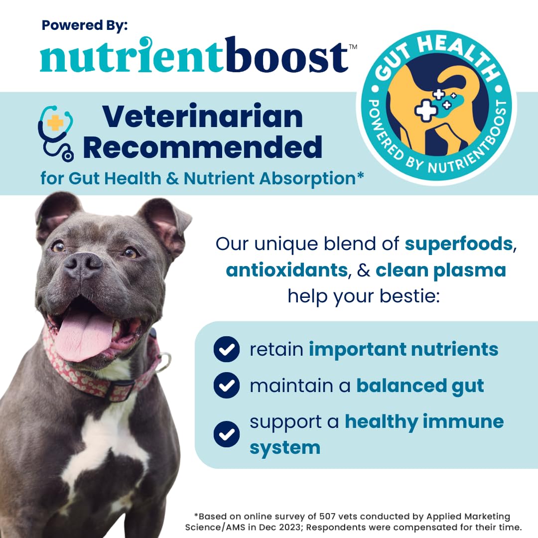 Solid Gold NutrientBoost Meal Topper for Dogs - Plasma Infused Dog Food Topper & Treats - Gut Health & Immune System Support - Grain Free Additive with Vitamins, Minerals, Protein & Amino Acids - 1 Lb