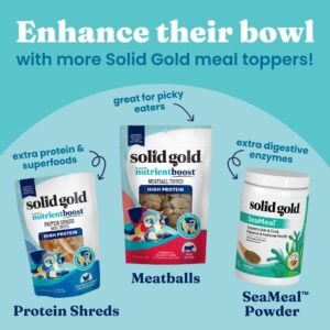 Solid Gold NutrientBoost Meal Topper for Dogs - Plasma Infused Dog Food Topper & Treats - Gut Health & Immune System Support - Grain Free Additive with Vitamins, Minerals, Protein & Amino Acids - 1 Lb