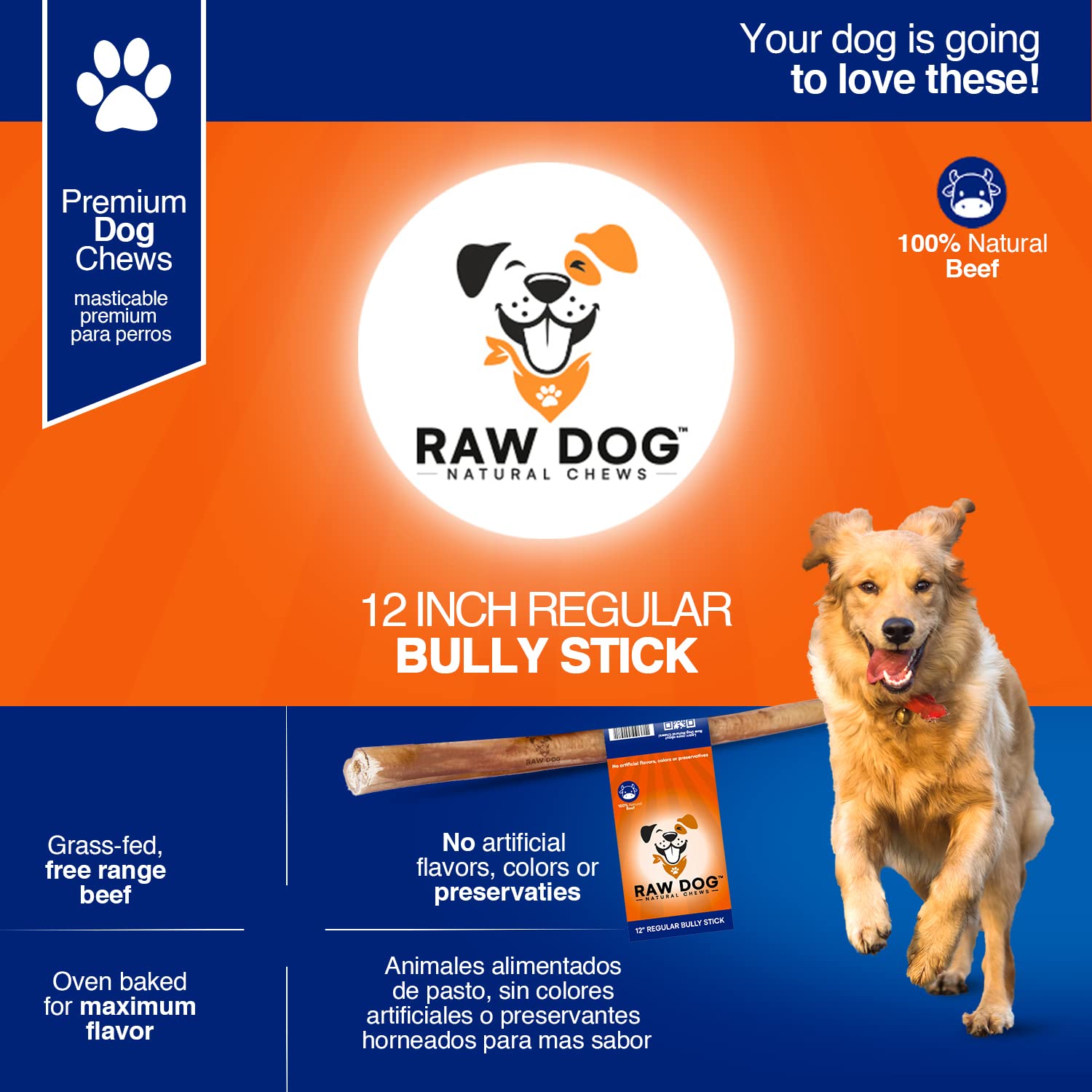 Raw Dog Bully Sticks All-Natural Dog Treats,12IN Regular Size, 1pk - Premium Odor Free Dog Chews, 100% Beef, Grass Fed, Non-GMO