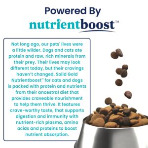 Solid Gold Dry Dog Food for Adult & Senior Dogs - Made with Real Lamb & Brown Rice - NutrientBoost Hund-N-Flocken Healthy Dog Food for Weight Management & Digestive Support