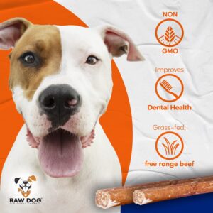 Raw Dog Bully Sticks All-Natural Dog Treats,12IN Regular Size, 1pk - Premium Odor Free Dog Chews, 100% Beef, Grass Fed, Non-GMO