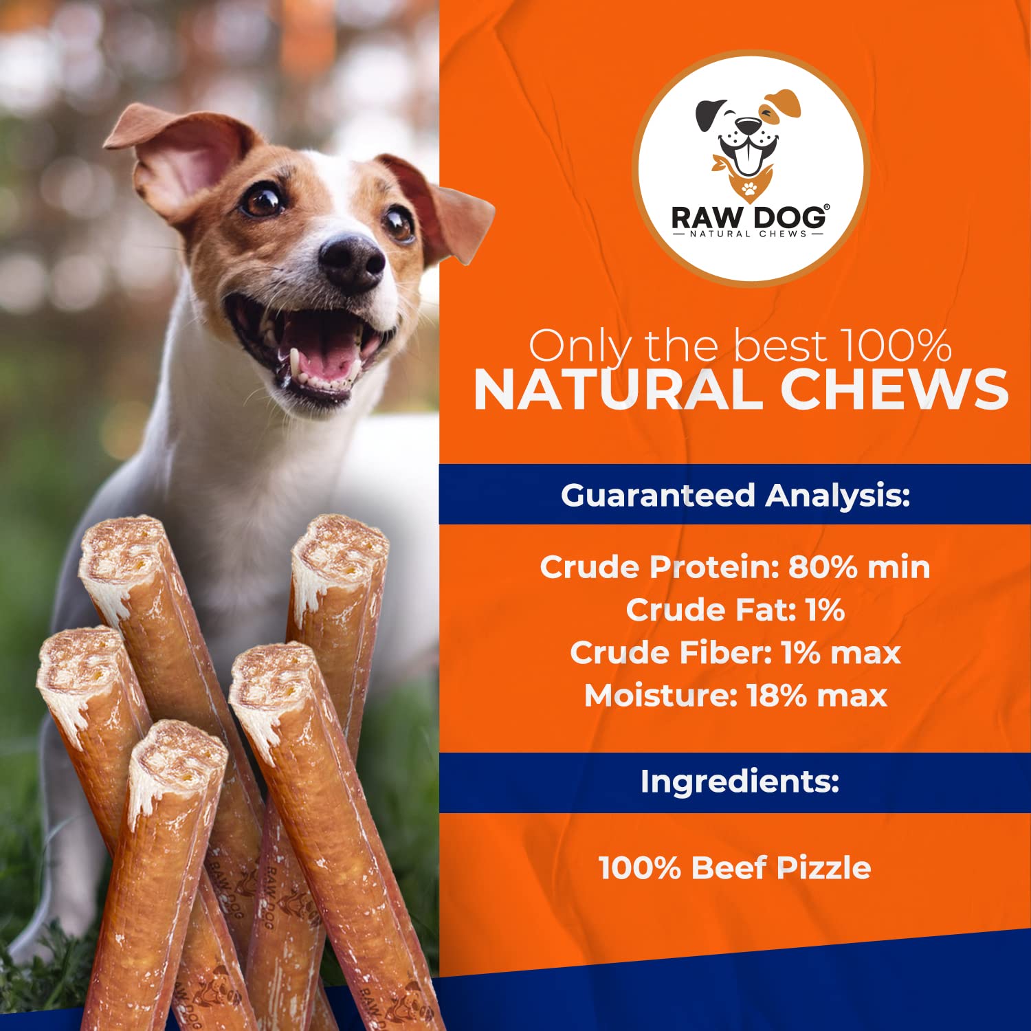 Raw Dog Bully Sticks All-Natural Dog Treats,12IN Regular Size, 1pk - Premium Odor Free Dog Chews, 100% Beef, Grass Fed, Non-GMO