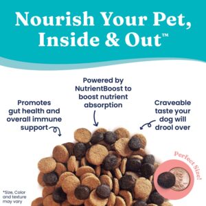 Solid Gold Dry Dog Food for Adult & Senior Dogs - Made with Real Lamb & Brown Rice - NutrientBoost Hund-N-Flocken Healthy Dog Food for Weight Management & Digestive Support