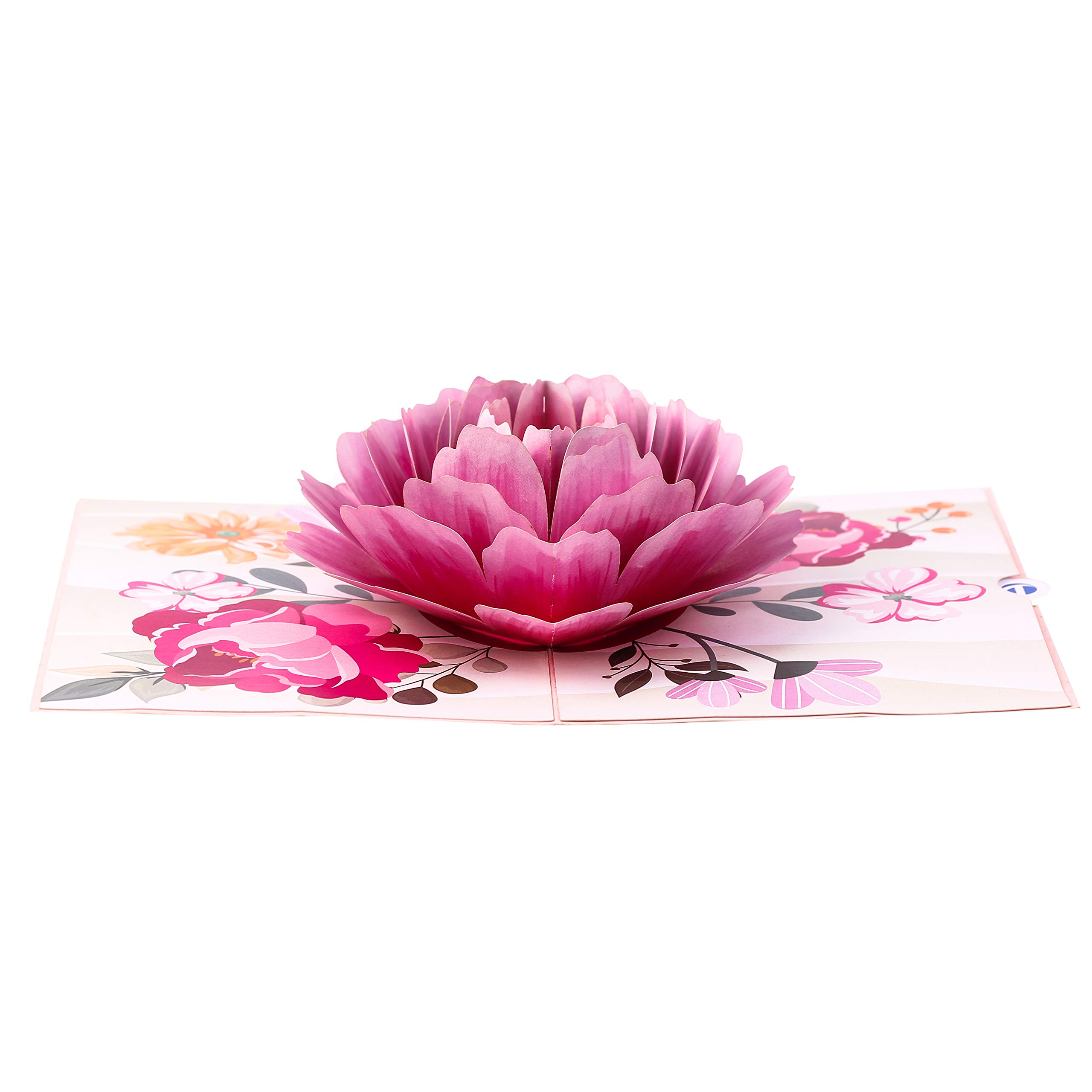 TRUANCE Pop Up Greeting Card, Pink Peony Flower, Birthday, Thank You Card, All Occasions