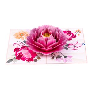 TRUANCE Pop Up Greeting Card, Pink Peony Flower, Birthday, Thank You Card, All Occasions