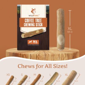 Wildfang®Coffee Wood Dog Chew Large-Natural Wood Stick for Dogs, Wood Dog Chew Toy, Wood Dog Bone, Wood Chew Toy for Dogs, Dog Wood Chew Stick, Coffee Bone for Dogs Muscle Training, XL - from 99 lbs