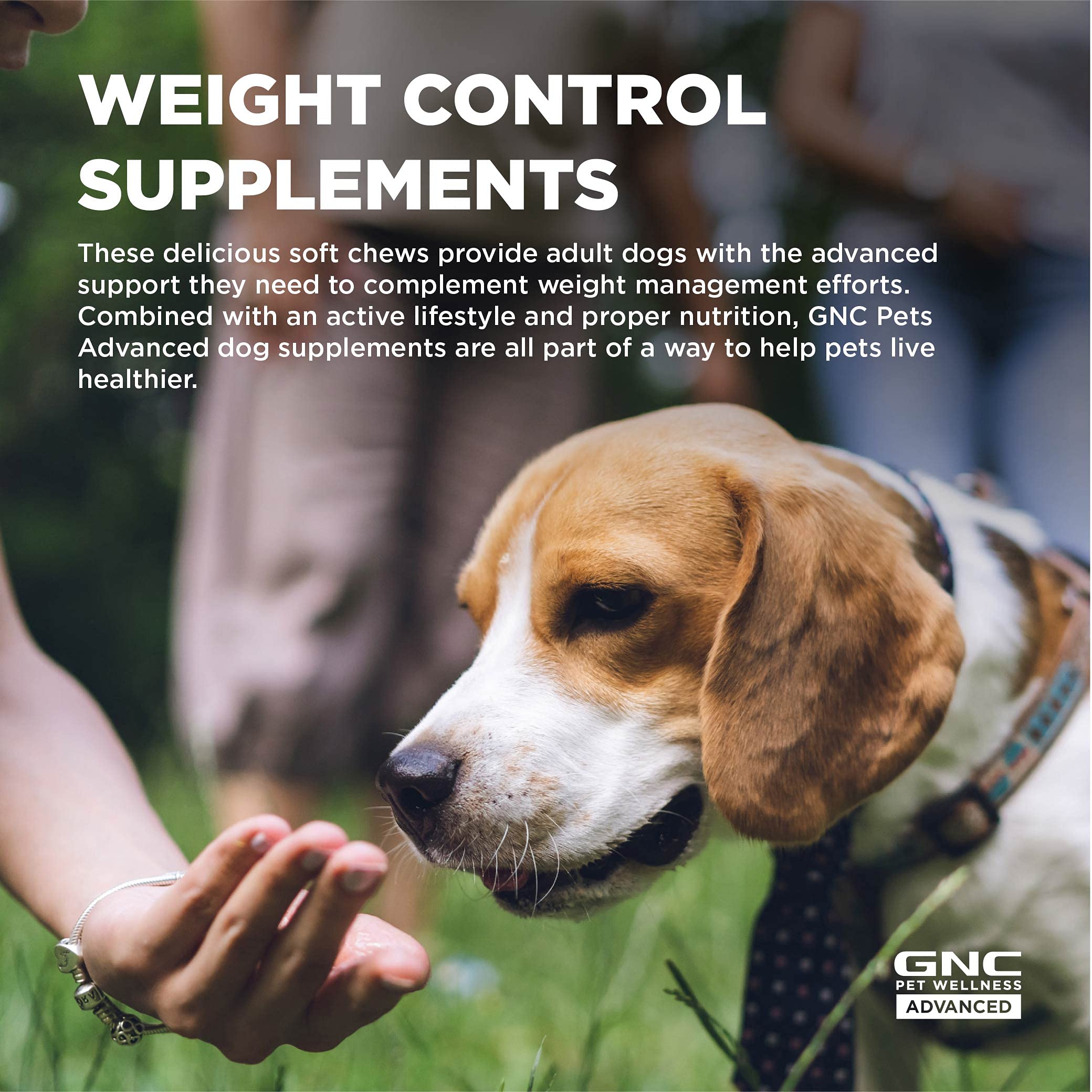 GNC Pets Advanced Weight Support Dog Supplement Soft Chews | Weight Control Dog Supplement for Adult Dogs | 90 Ct Chicken Flavor Weight Management Dog Supplement,FF14874