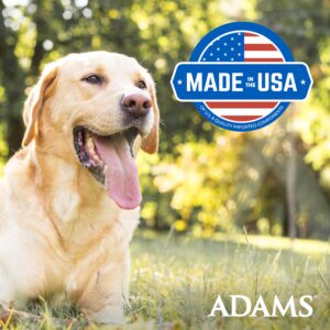 Adams Flea & Tick Collar Plus for Dogs & Puppies, 6-Month Protection, One Size Fits All Dogs & Puppies, Kills Fleas & Ticks, Repels Mosquitoes For Up To 6 Months (excluding California)