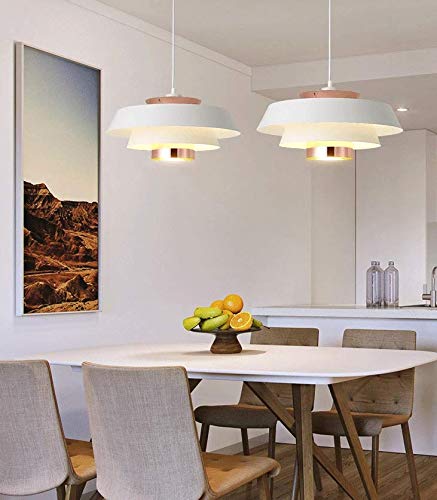 Adjustable Light Beam PAR20 PAR16 LED Spot Light Bulb 15°-60° Multi Angle Ceiling Recessed Lamp I 12W Down Light for Restaurants Display Gallery - Warm White