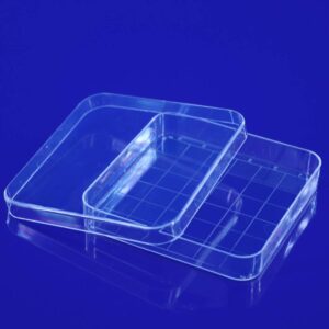 Scicalife 10 Sets Square Petri Dish with Lids, Plastic Material, Container for School Lab Science Experiment