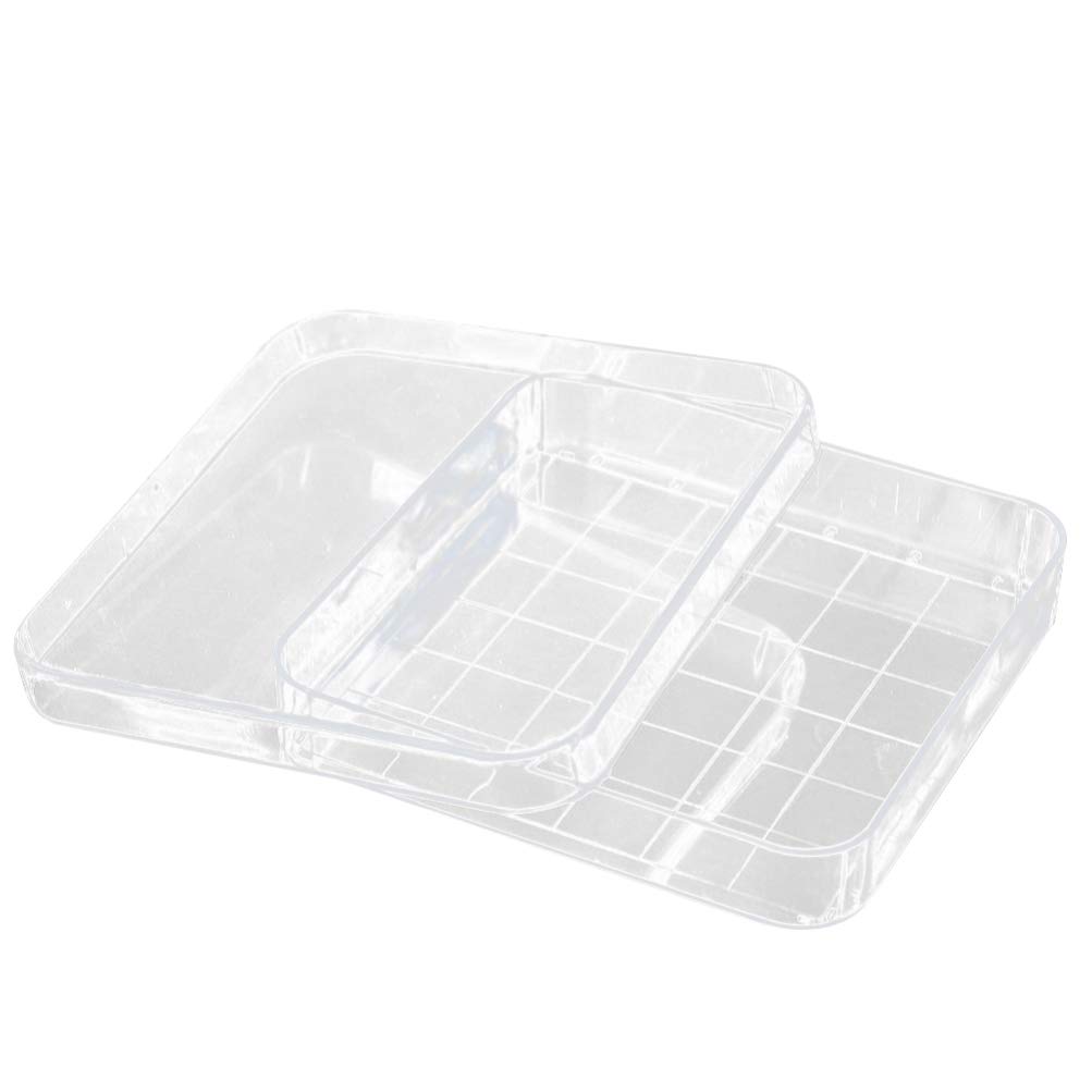 Scicalife 10 Sets Square Petri Dish with Lids, Plastic Material, Container for School Lab Science Experiment