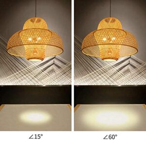 Adjustable Light Beam PAR20 PAR16 LED Spot Light Bulb 15°-60° Multi Angle Ceiling Recessed Lamp I 12W Down Light for Restaurants Display Gallery - Warm White