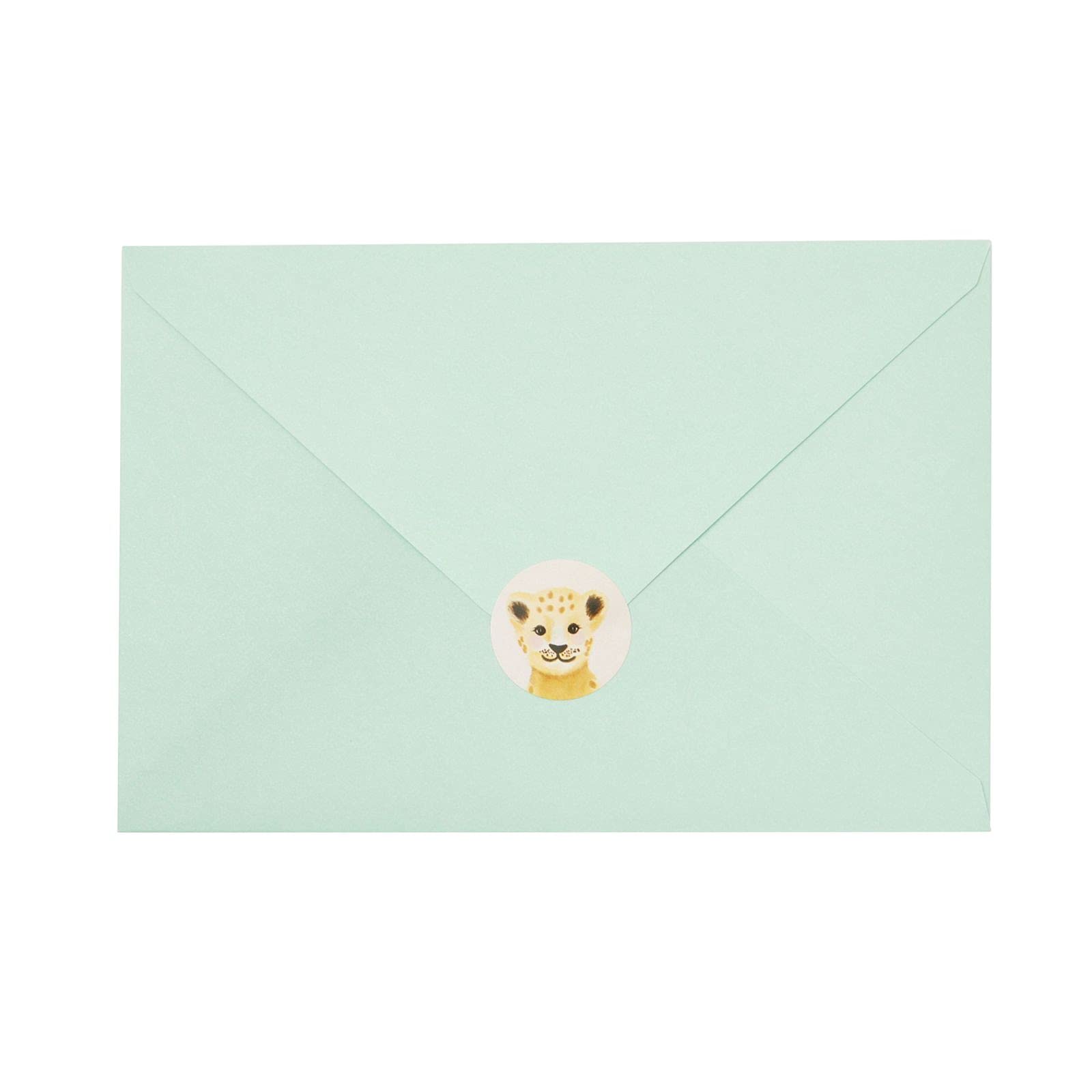 Pipilo Press Safari Baby Shower Thank You Cards with Envelopes, Seal Stickers (4x6 In, 48 Pack)