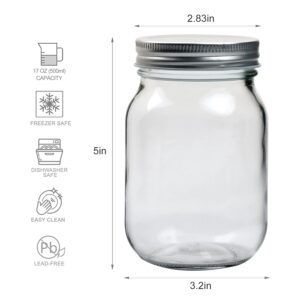 Accguan Mason Jars 16 oz With Regular Lids and Bands, Ideal for Jam, Honey, Wedding Favors, Shower Favors, DIY Magnetic Spice Jars, 12 PACK, 16 Labels Included