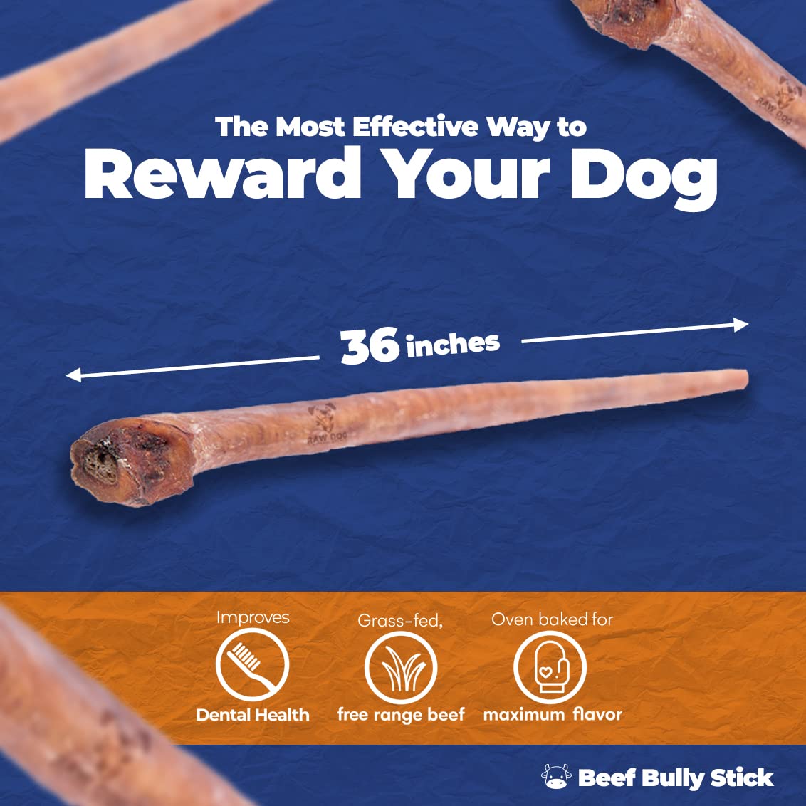 Raw Dog Bully Sticks All-Natural Dog Treats, 36IN Regular Size, 1pk - Premium Odor Free Dog Chews, 100% Beef, Grass Fed, Non-GMO