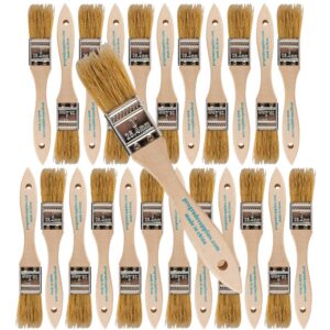 vermeer chip paint brushes - 24-pack - 1" chip brushes for paints, stains, varnishes, glues, & gesso - home improvement - interior & exterior use