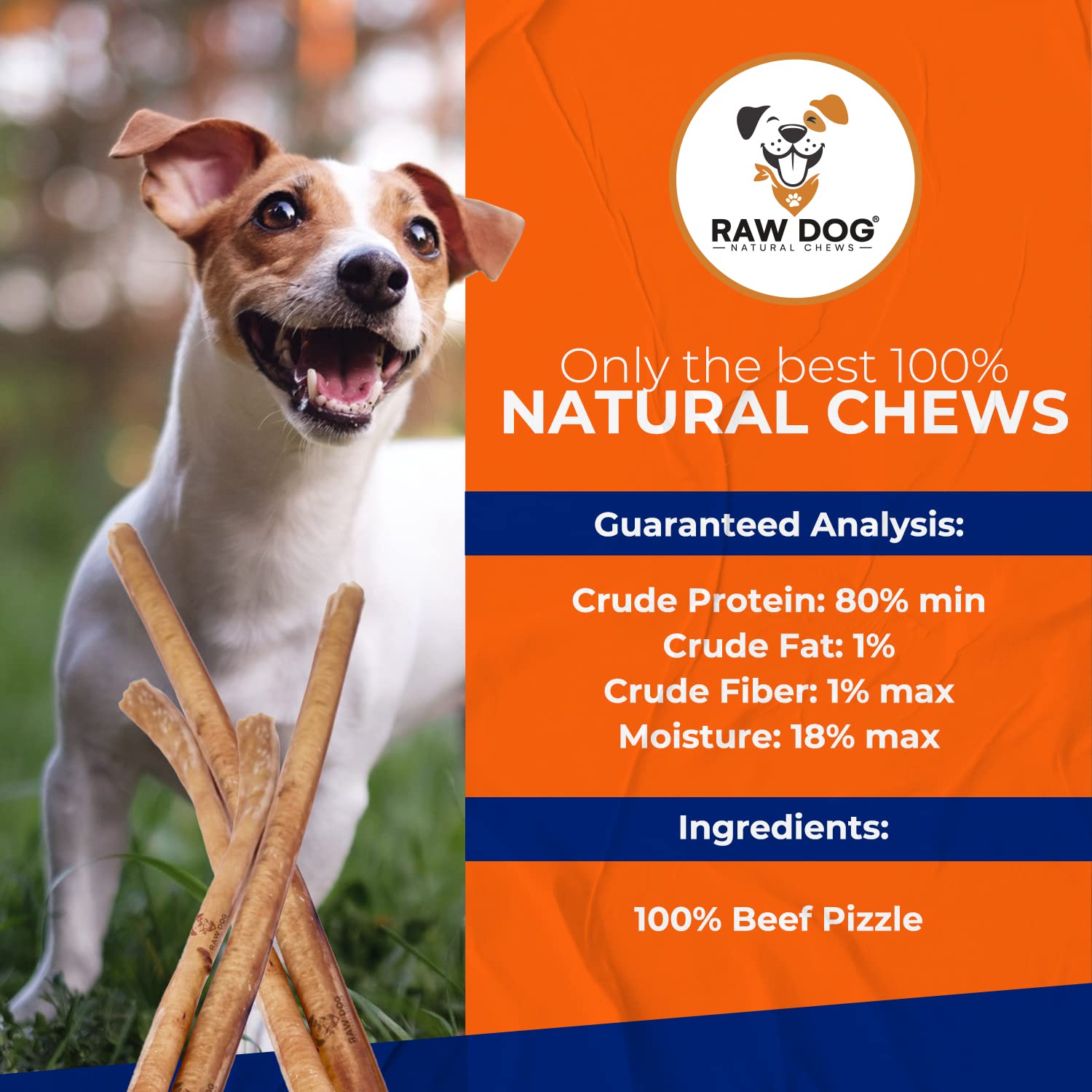 Raw Dog Bully Sticks All-Natural Dog Treats, 36IN Regular Size, 1pk - Premium Odor Free Dog Chews, 100% Beef, Grass Fed, Non-GMO