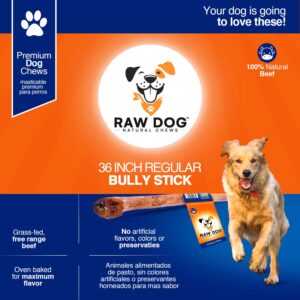 raw dog bully sticks all-natural dog treats, 36in regular size, 1pk - premium odor free dog chews, 100% beef, grass fed, non-gmo