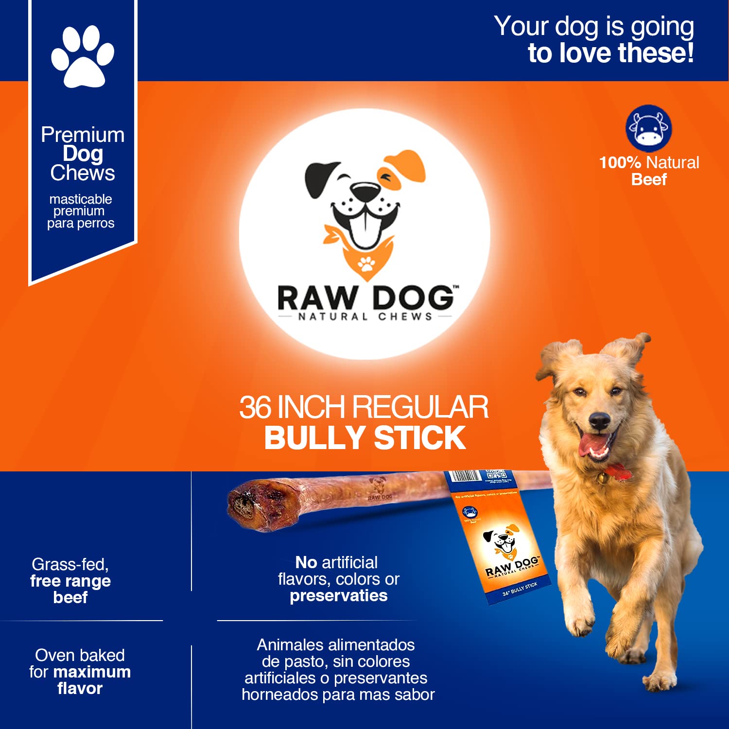 Raw Dog Bully Sticks All-Natural Dog Treats, 36IN Regular Size, 1pk - Premium Odor Free Dog Chews, 100% Beef, Grass Fed, Non-GMO