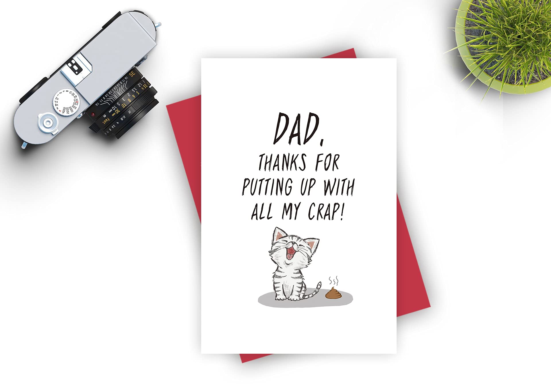 Kirynurd Decolove Funny Card for Dad, Birthday Card for Daddy, Fathers Day Card for Cat Lover