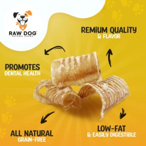 Raw Dog 6in 8pk Beef Trachea for Dogs, 100% Beef Trachea Chews, Grass Fed, Non-GMO, All-Natural Dog Treats, Premium Odor Free Trachea Dog Chews