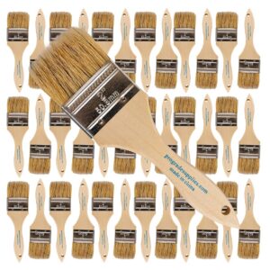 vermeer chip paint brushes - 36-pack - 2" chip brushes for paints, stains, varnishes, glues, & gesso - home improvement - interior & exterior use