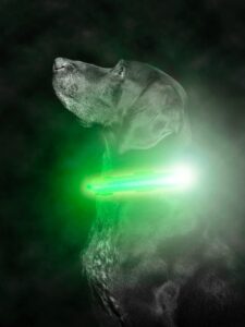 mighty paw led dog collar - usb led rechargeable - usb rechargeable light - high visibility glow strips - glow pet weather resistant - enhanced nighttime visibility - light up dog collar - (l, green)