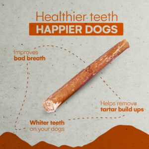 Raw Dog Bully Sticks All-Natural Dog Treats, 36IN Regular Size, 1pk - Premium Odor Free Dog Chews, 100% Beef, Grass Fed, Non-GMO