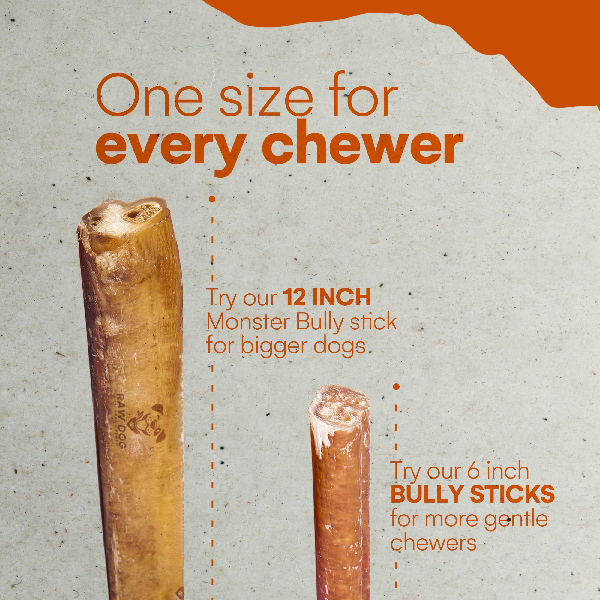 Raw Dog Bully Sticks All-Natural Dog Treats, 36IN Regular Size, 1pk - Premium Odor Free Dog Chews, 100% Beef, Grass Fed, Non-GMO