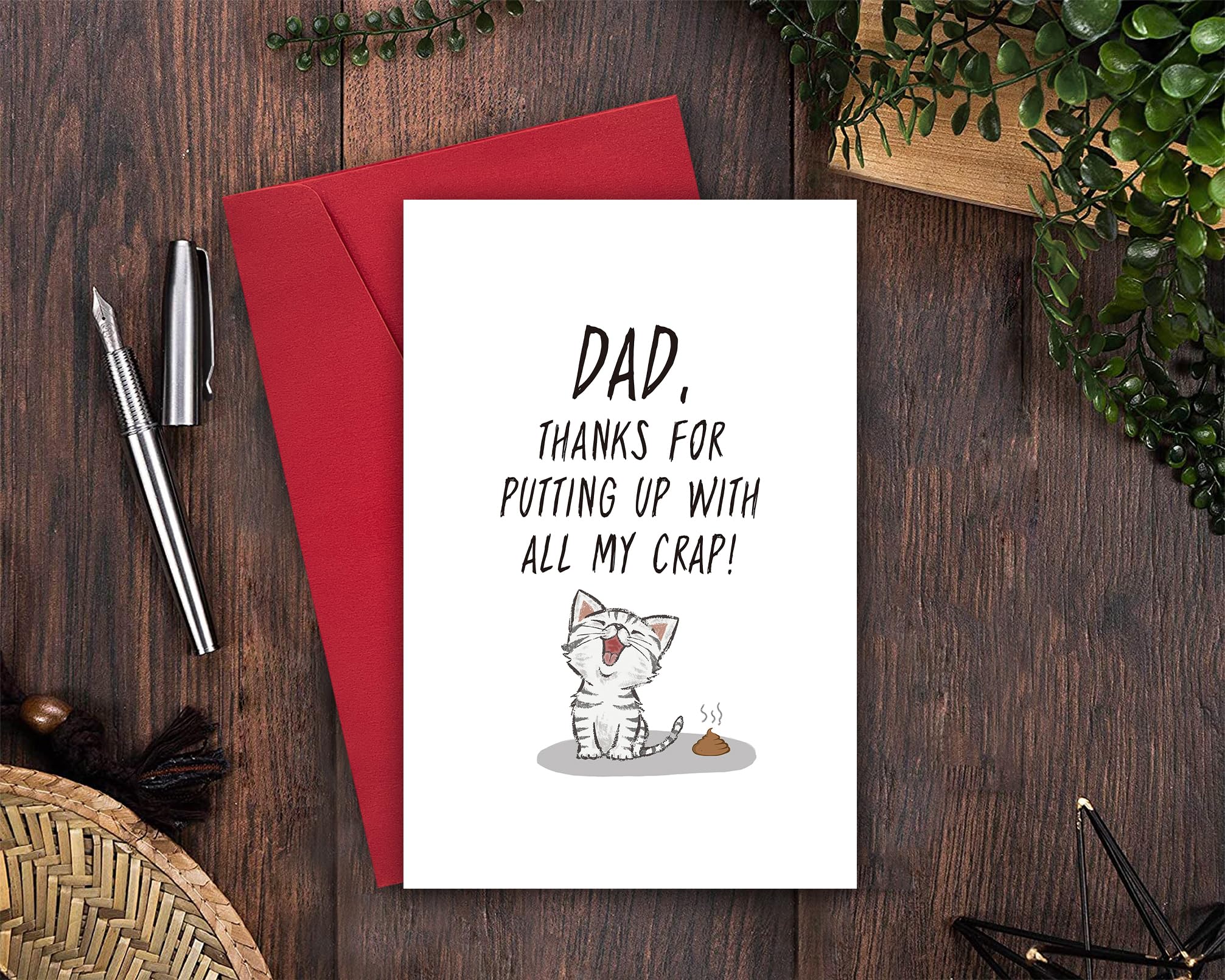 Kirynurd Decolove Funny Card for Dad, Birthday Card for Daddy, Fathers Day Card for Cat Lover