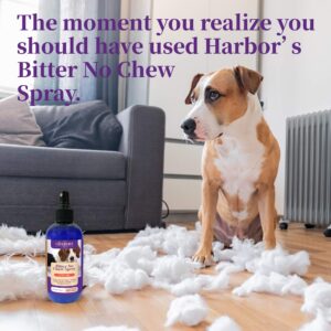 Harbor's Bitter No Chew Spray | 3 X Strength Chewing Deterrent Spray | Anti Chew Behavior Training Aid | Stops Destructive Chewing and Licking of Shoes, Bandages, Paws, Fur & Furniture | Made in USA